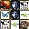 Member Avatar Tiles Game - FlashStorage.games